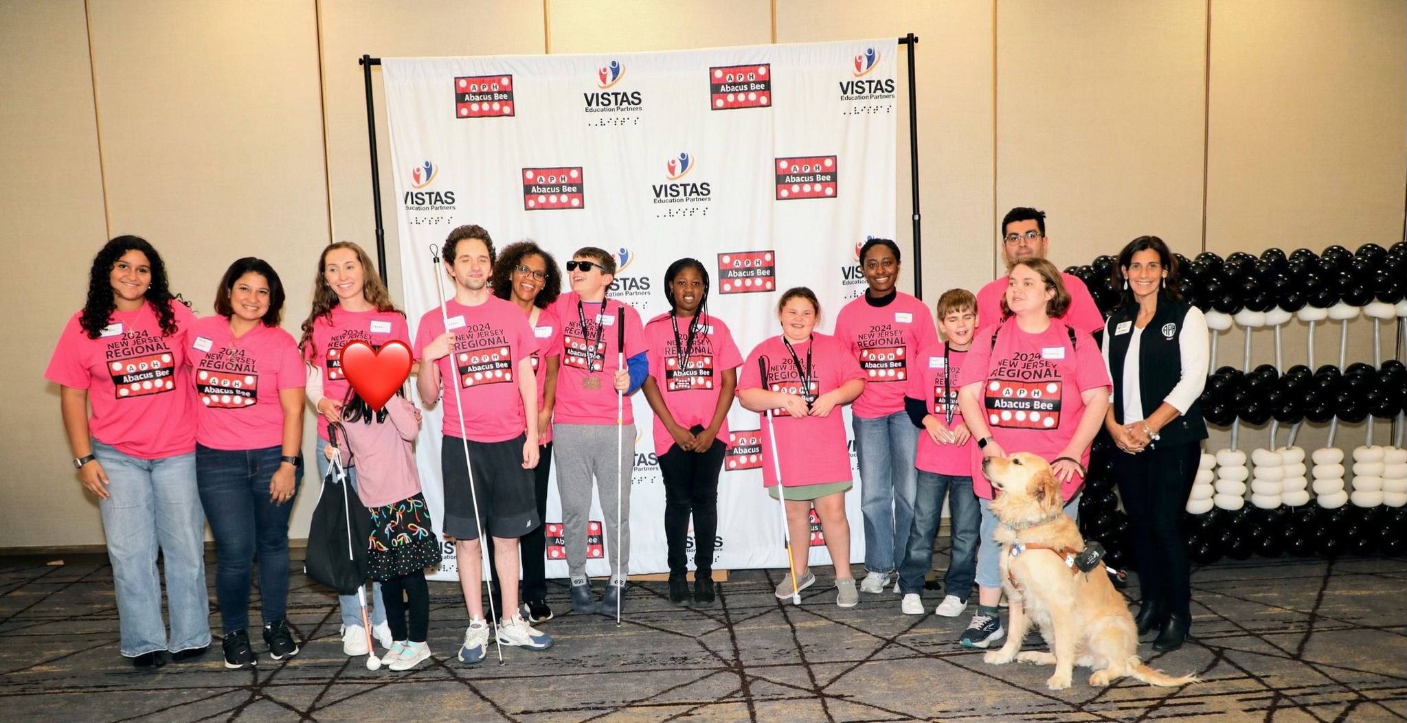 Abacus Bee – VISTAS Education Partners